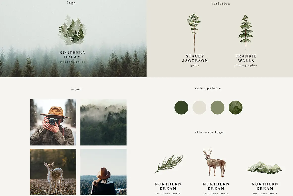 Forest Equilibrium Collection Illustrations - YouWorkForThem