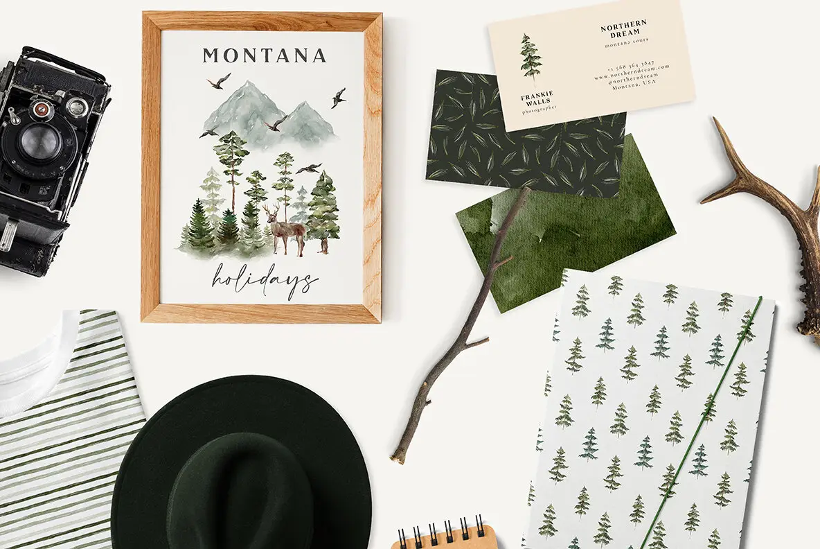 Forest Equilibrium Collection Illustrations - YouWorkForThem