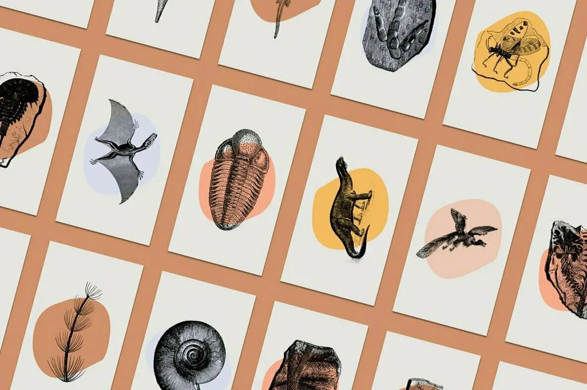 Dinosaurs Fossils Graphics - YouWorkForThem