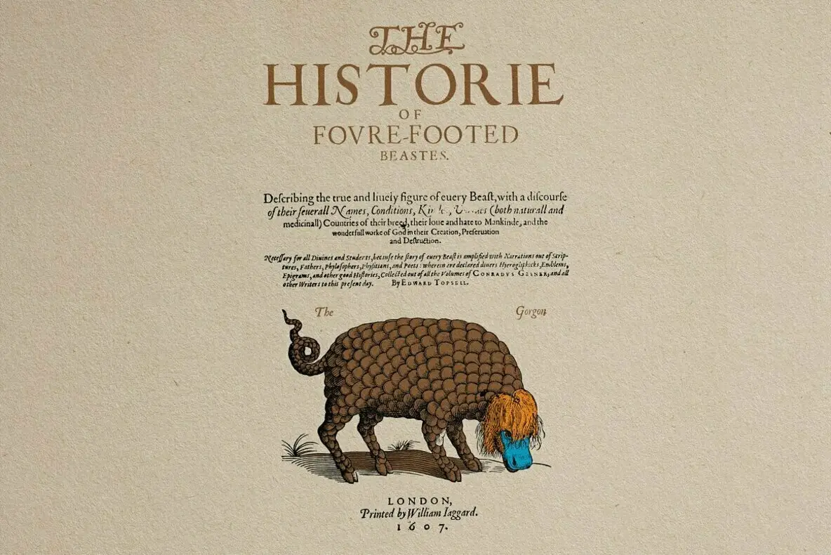 Four Footed Beasts Graphics - YouWorkForThem