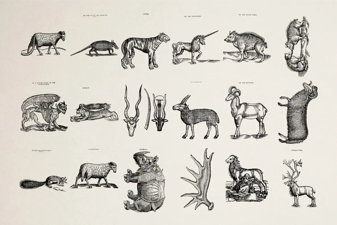 Four Footed Beasts Graphics - YouWorkForThem