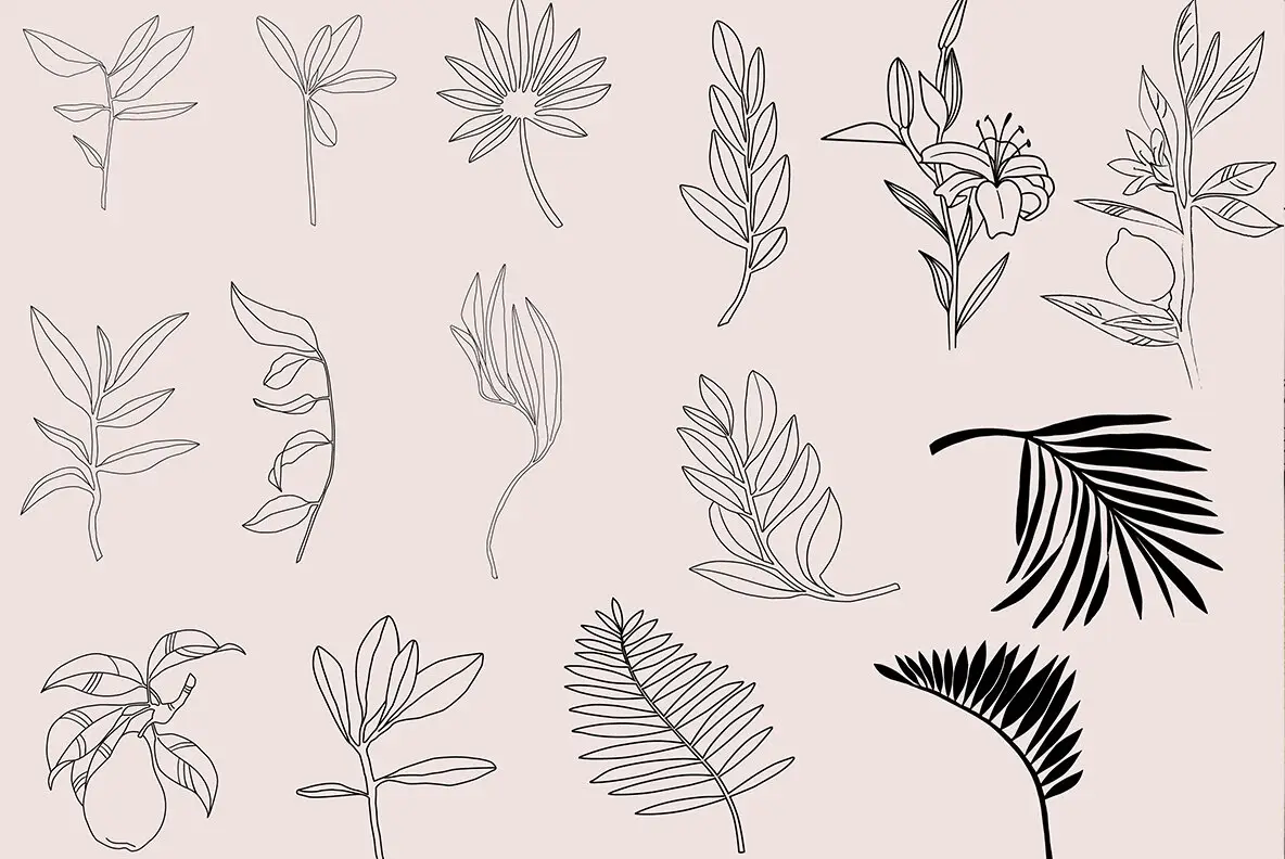 Minimalistic Botanical Collection Illustrations - YouWorkForThem