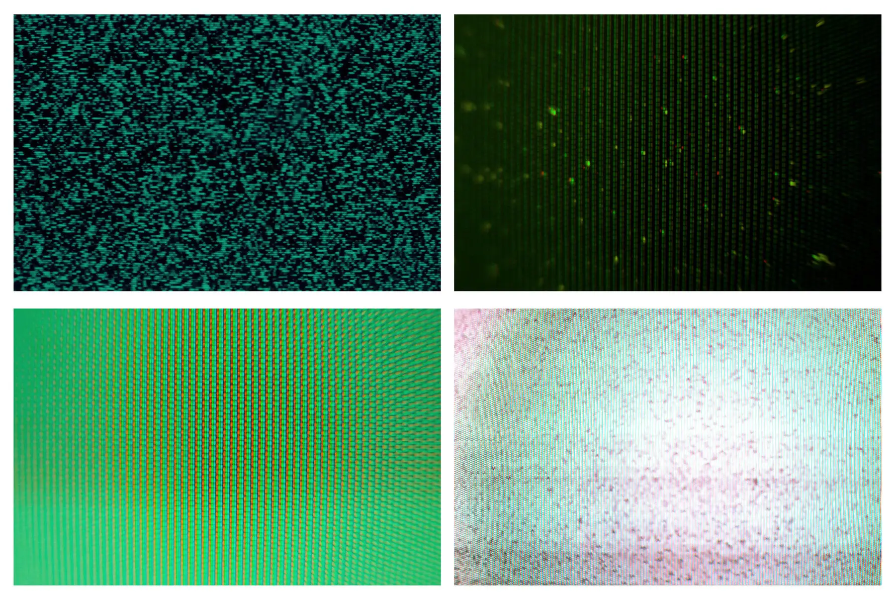 No Signal Graphics - YouWorkForThem