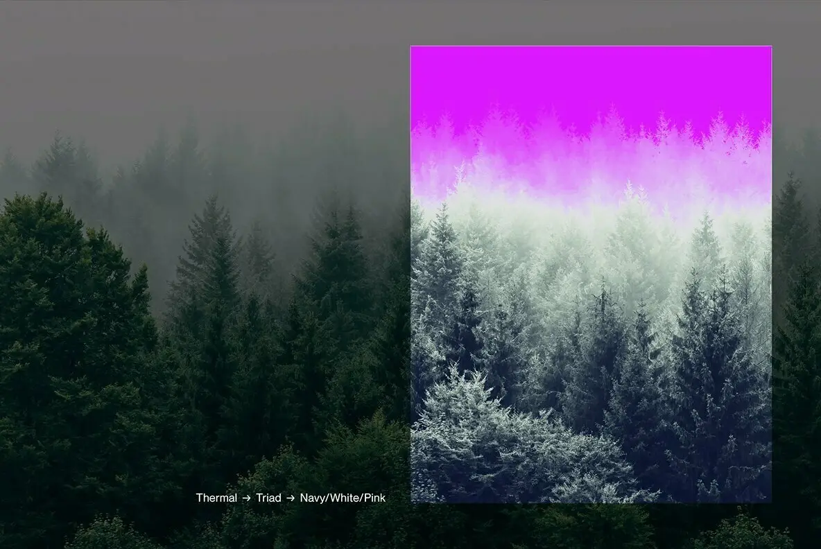 Thermal Graphics - YouWorkForThem