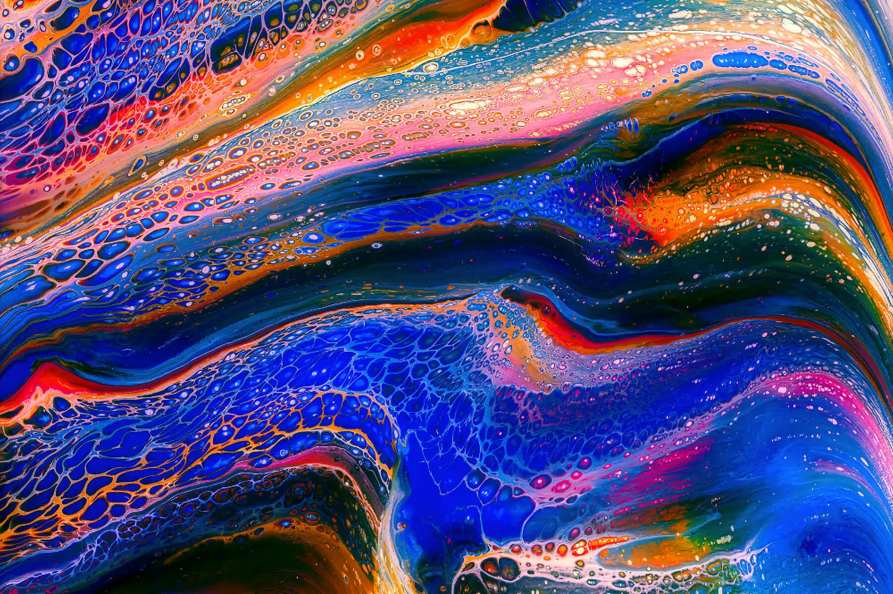 Cell Paint Bundle Graphics - YouWorkForThem