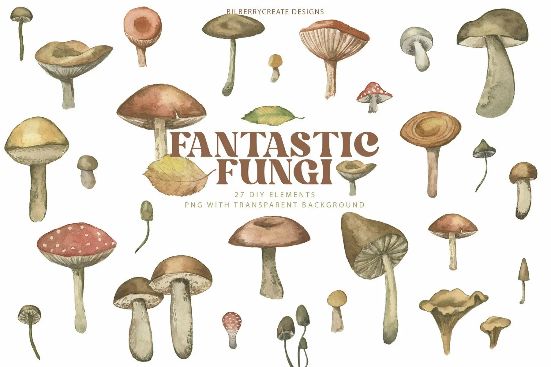 Watercolour Fantastic Fungi Graphics - YouWorkForThem