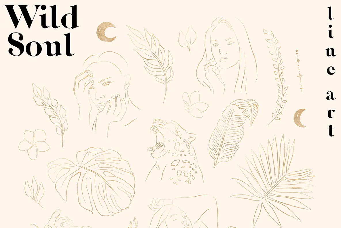Wild Soul Collection Illustrations - YouWorkForThem
