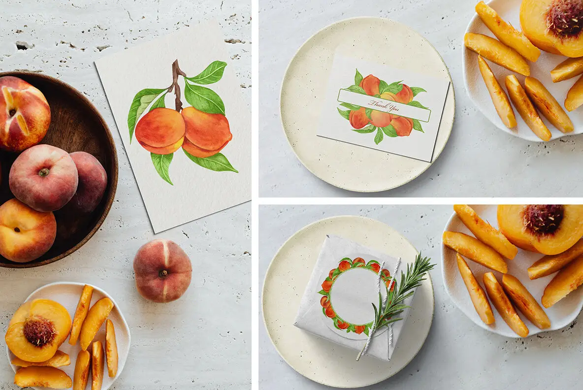 Peach Watercolor Set Illustrations - YouWorkForThem