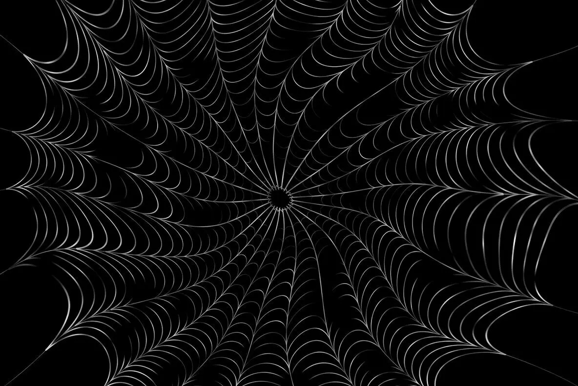 Spider Web Backgrounds Graphics - YouWorkForThem