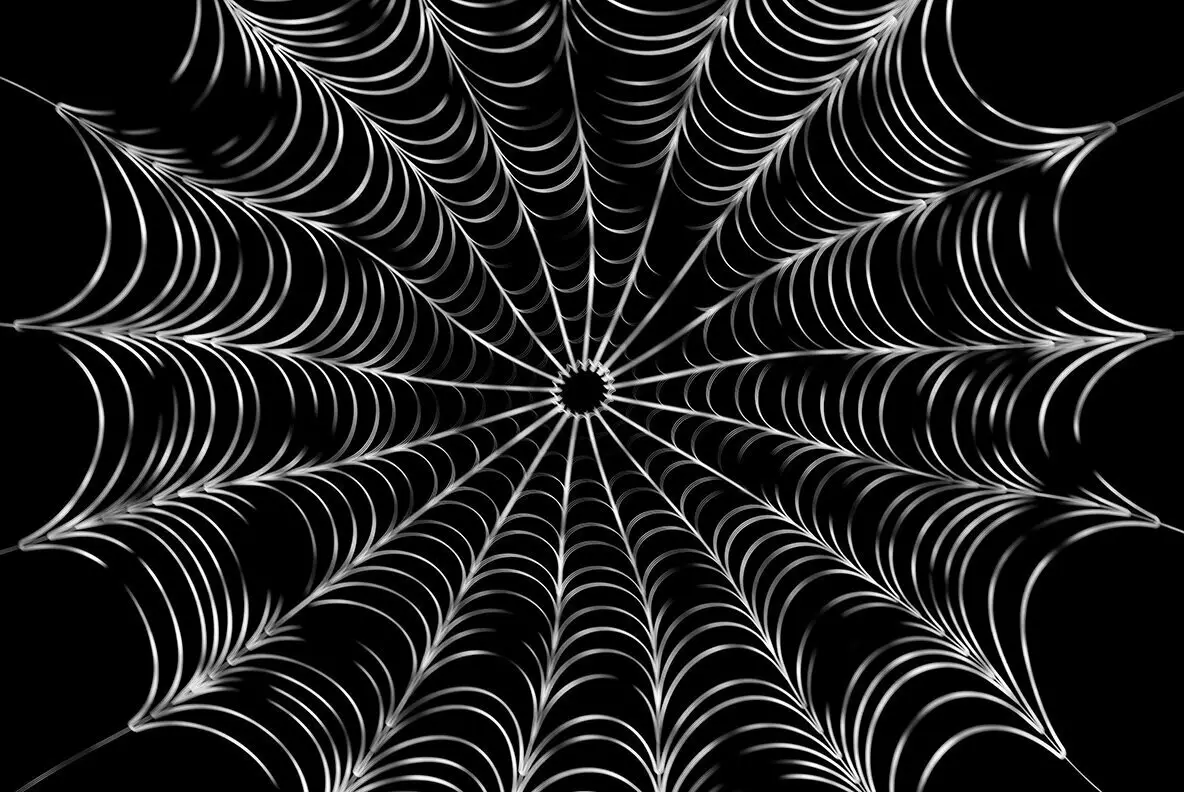 Spider Web Backgrounds Graphics - YouWorkForThem