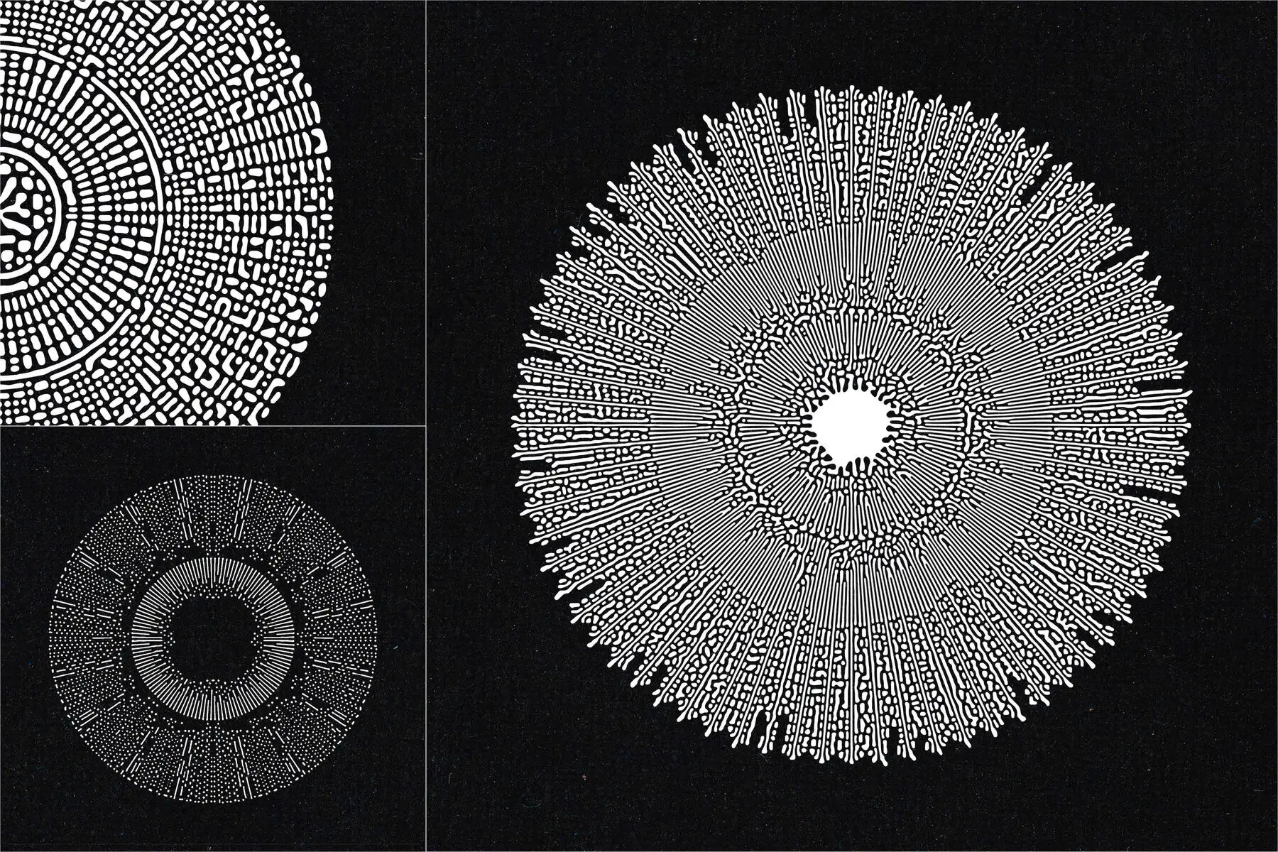 Organic Circles Illustrations - YouWorkForThem