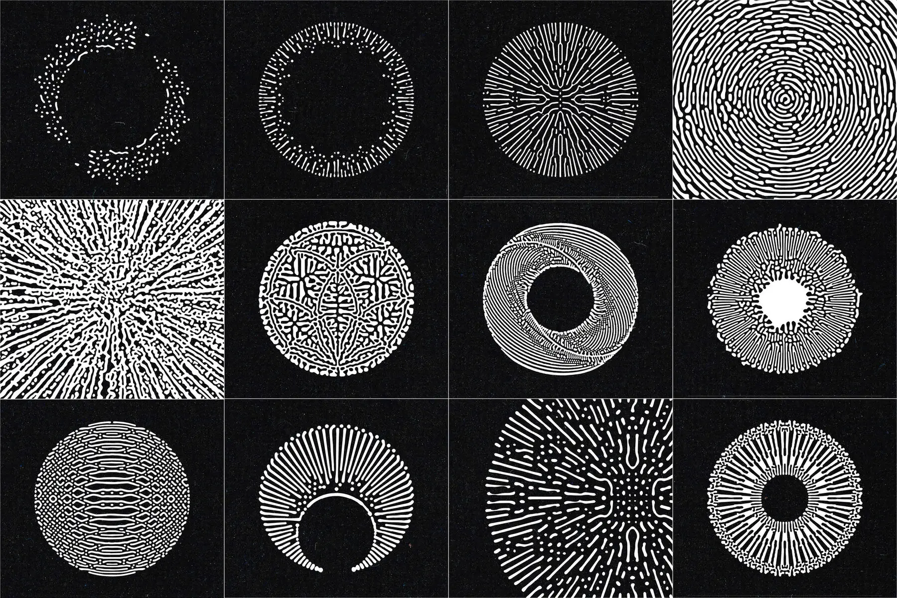 Organic Circles Illustrations - YouWorkForThem