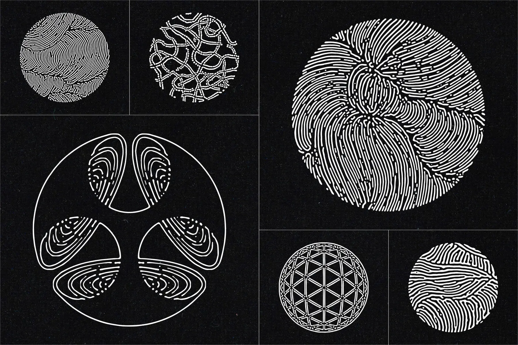 Organic Circles Illustrations - YouWorkForThem