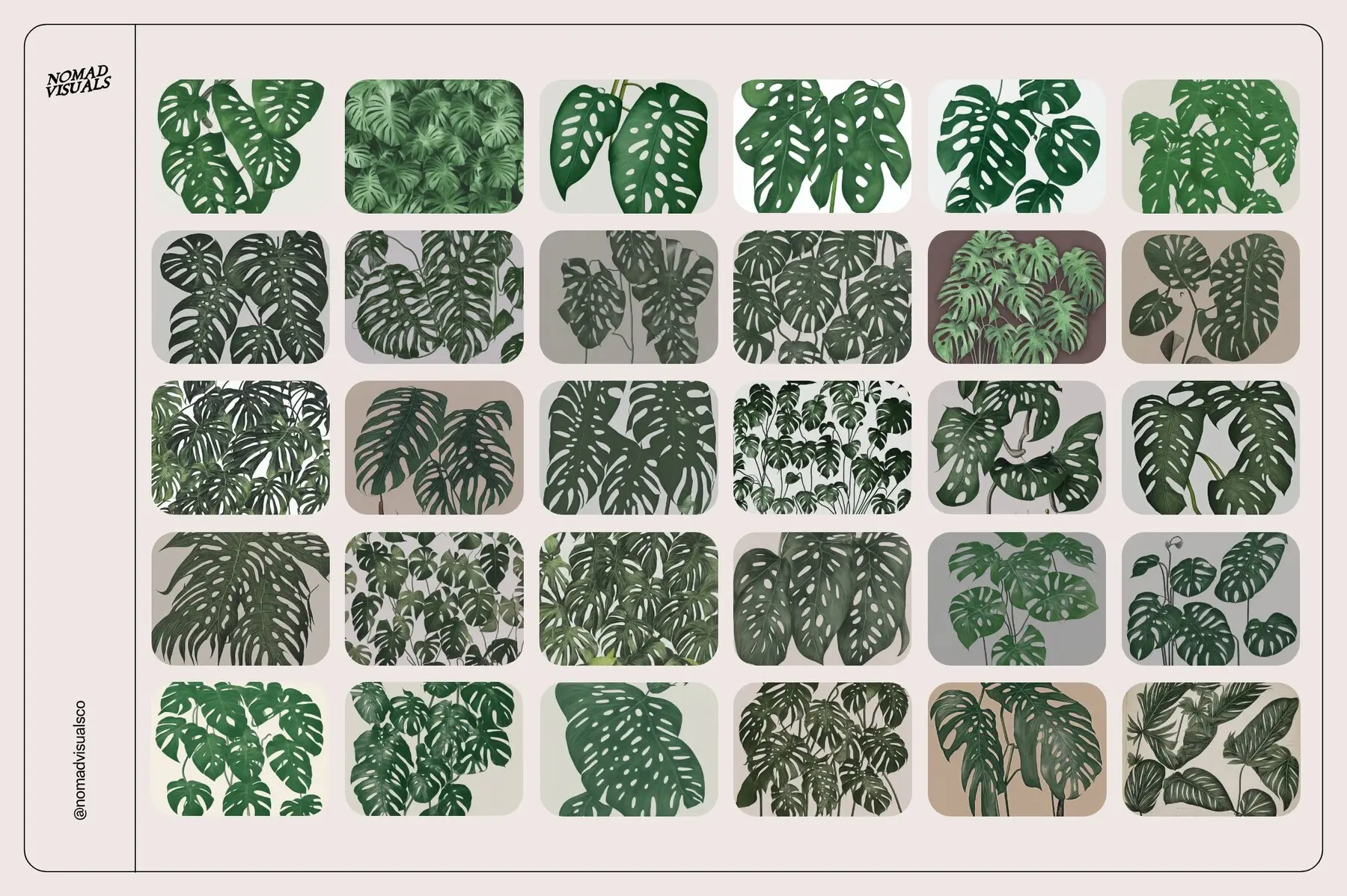 Monstera Tropical Collection Nature - YouWorkForThem
