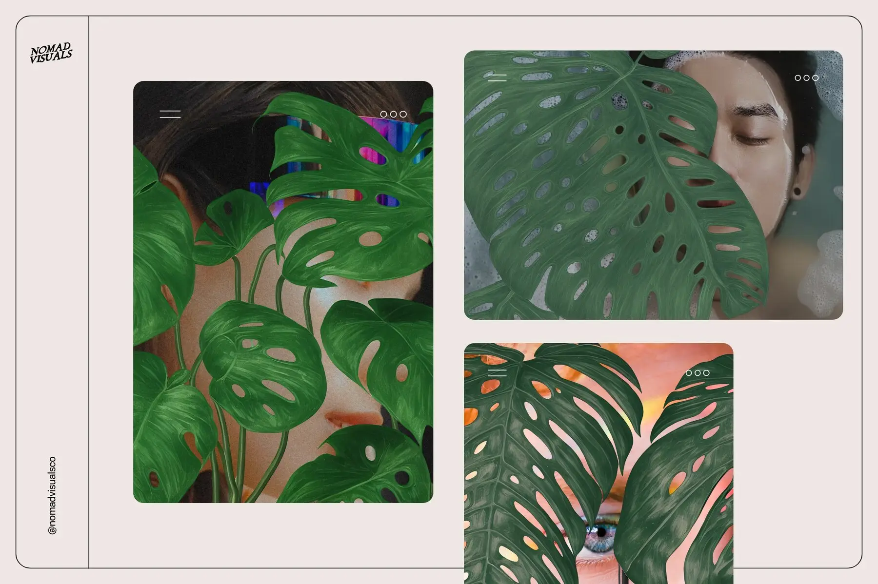 Monstera Tropical Collection Nature - YouWorkForThem