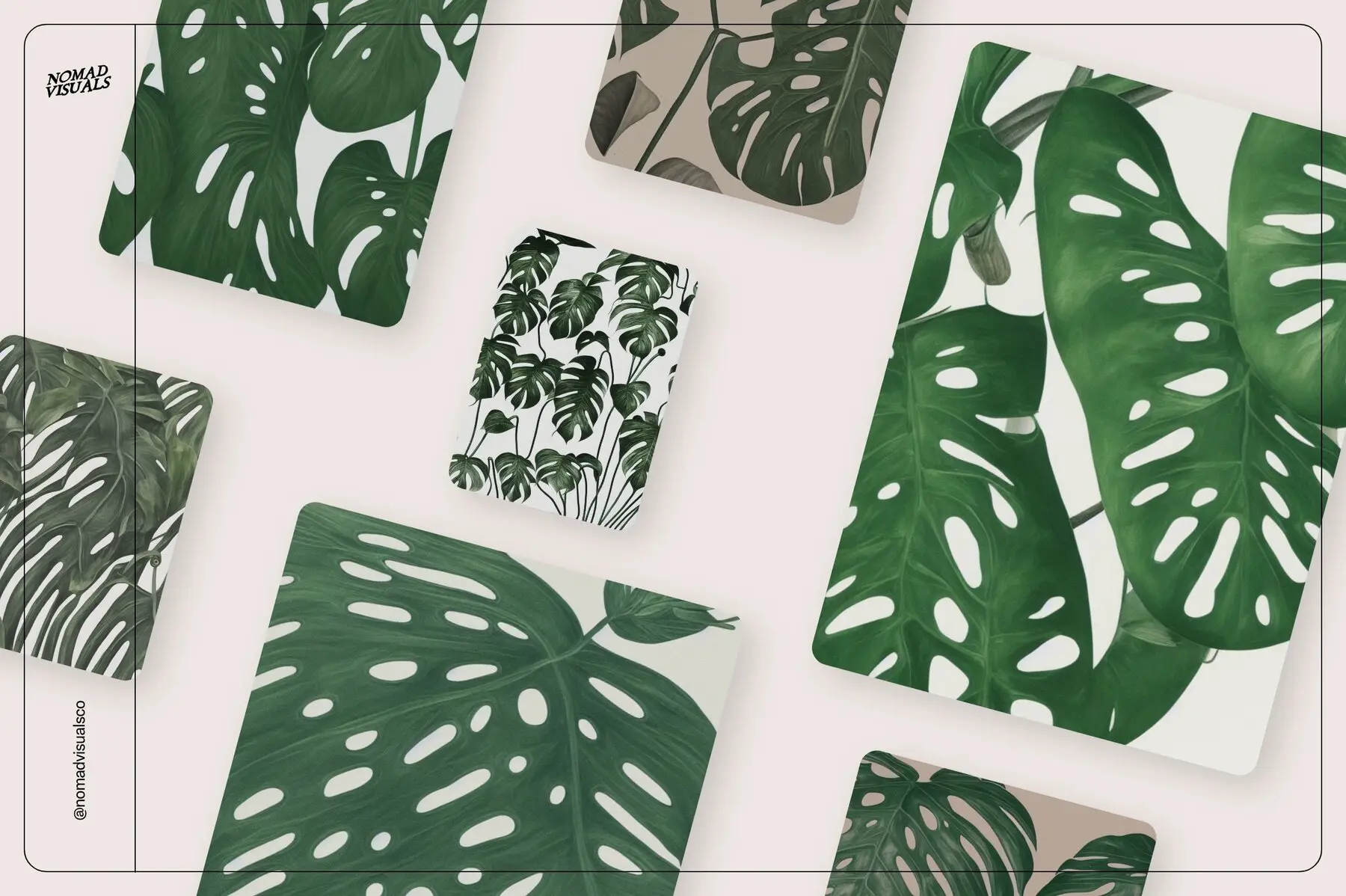 Monstera Tropical Collection Nature - YouWorkForThem