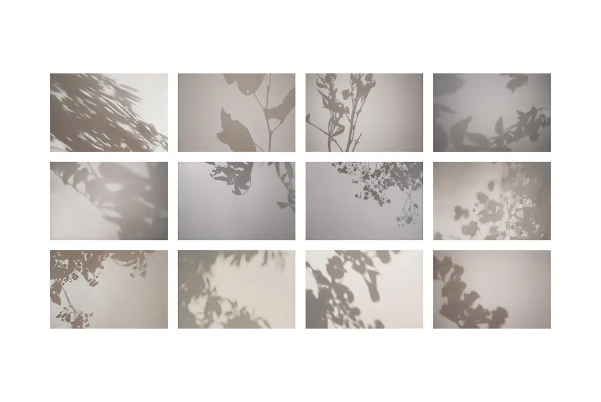 Shadow Photo Overlays Part 5 Mockups - YouWorkForThem