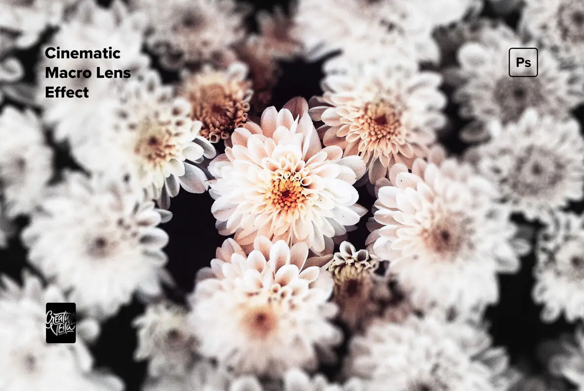 Cinematic Lens Photo Effects Pack - YouWorkForThem
