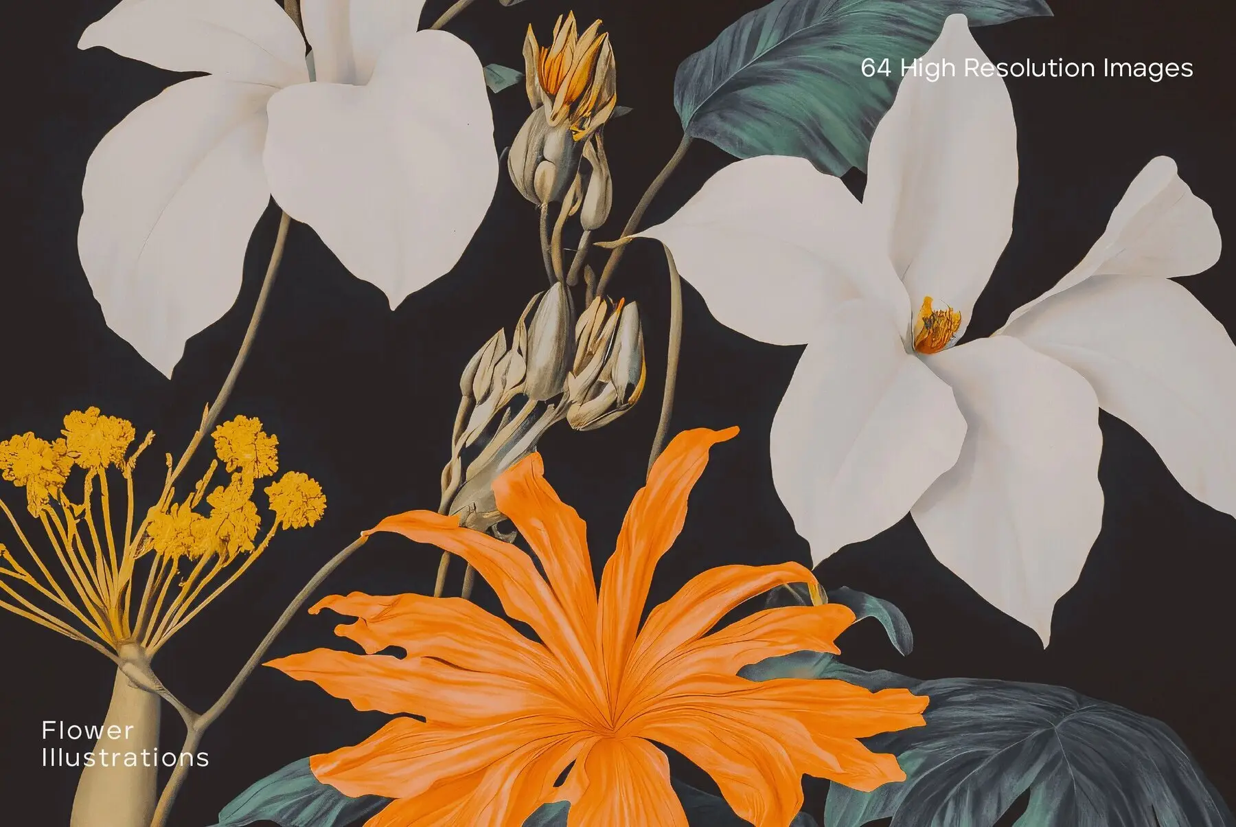 60 Flower Illustrations Nature - YouWorkForThem