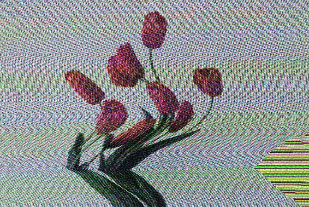 Screen Flicker Photo Effect - YouWorkForThem