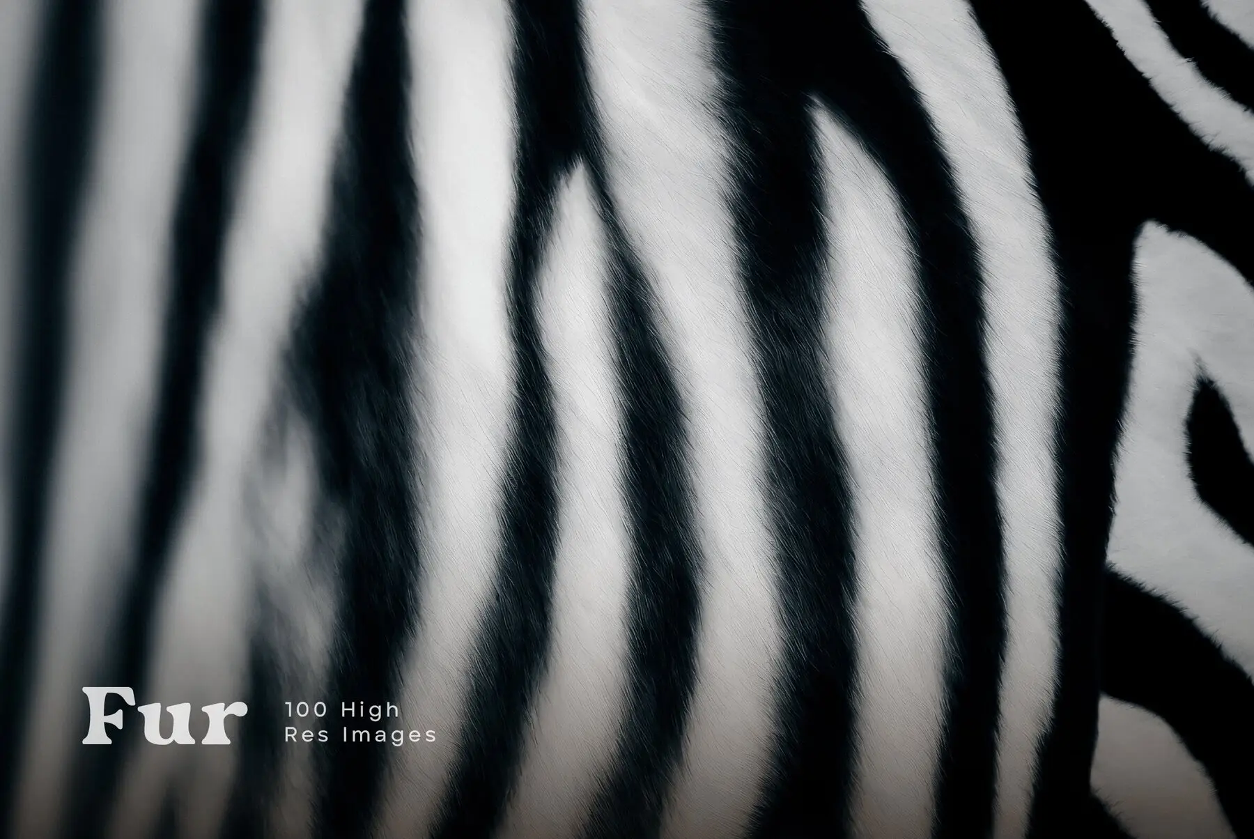 Fur Animals - YouWorkForThem