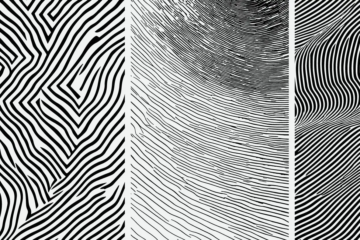 Rhythmic Lines Graphics - YouWorkForThem