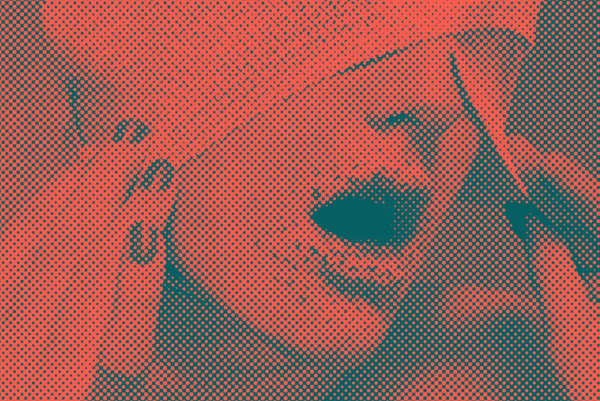 Old Halftone Photo Effect - YouWorkForThem