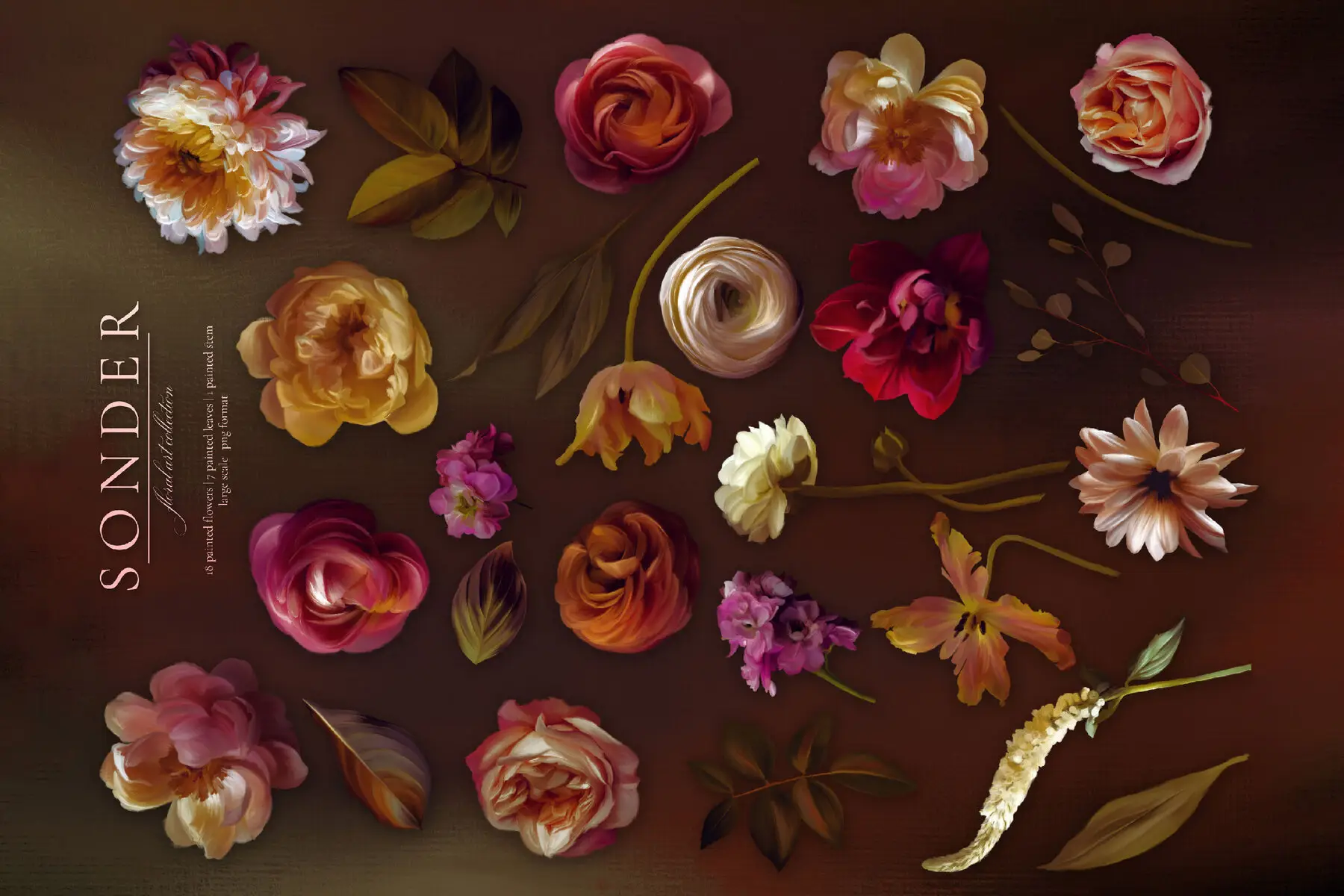 Sonder Oil Paint Floral Collection Graphics - YouWorkForThem