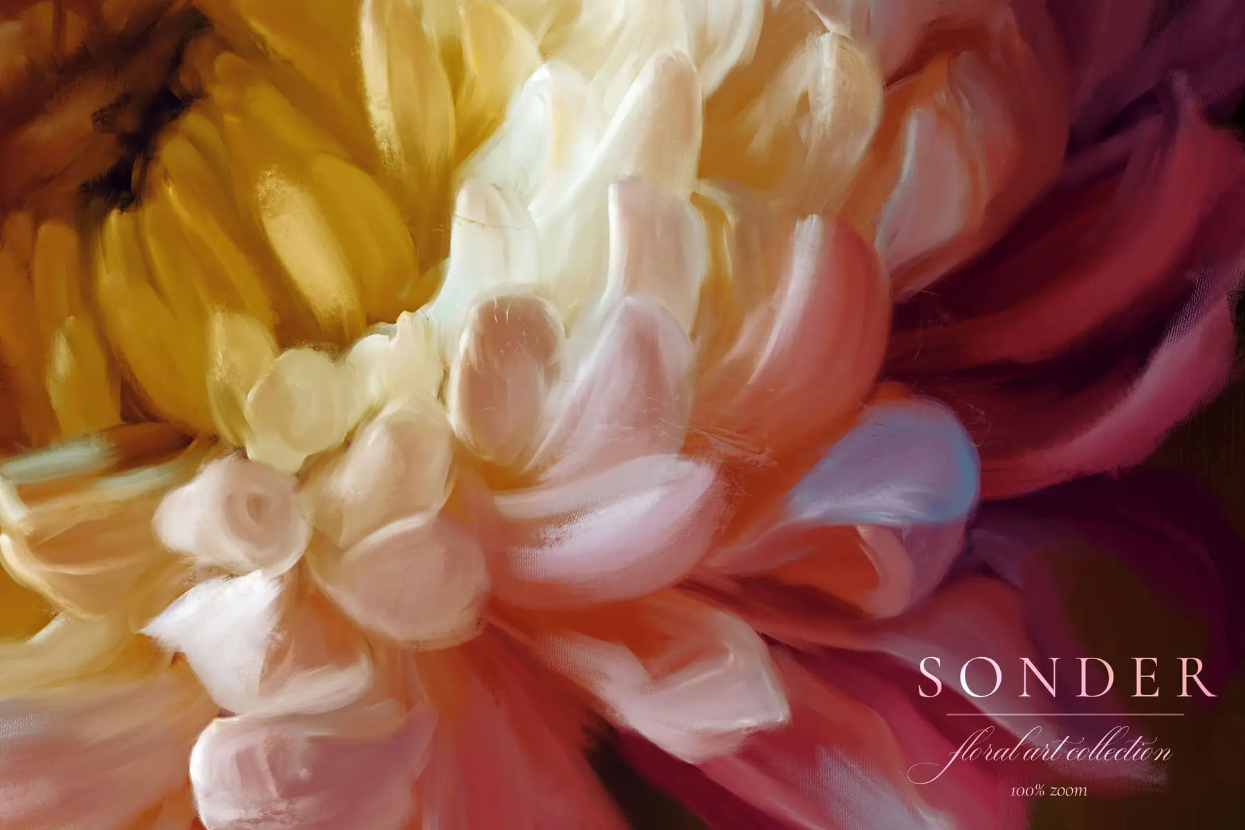 Sonder Oil Paint Floral Collection Graphics - YouWorkForThem