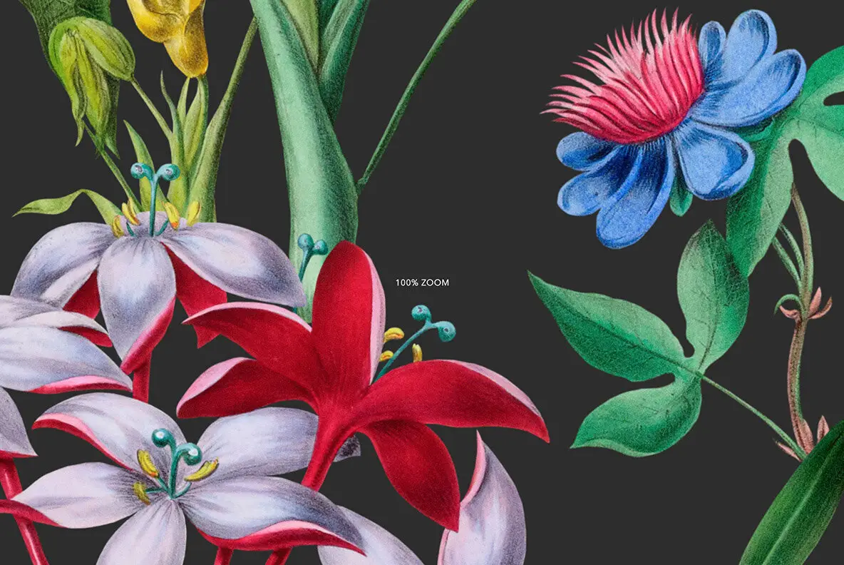 Elegant Botanical Pattern Flowers Patterns - YouWorkForThem