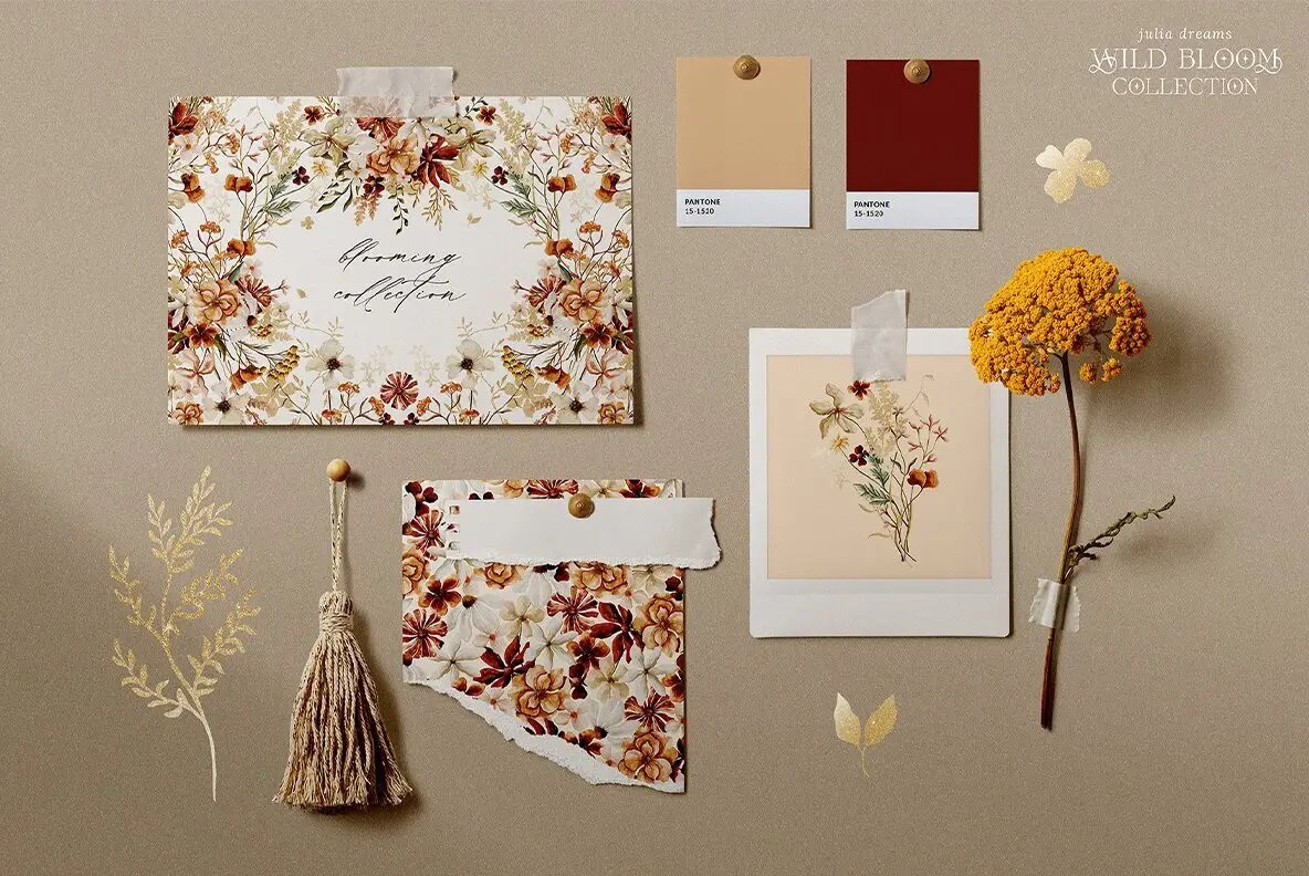 Wild Bloom Collection Illustrations - YouWorkForThem