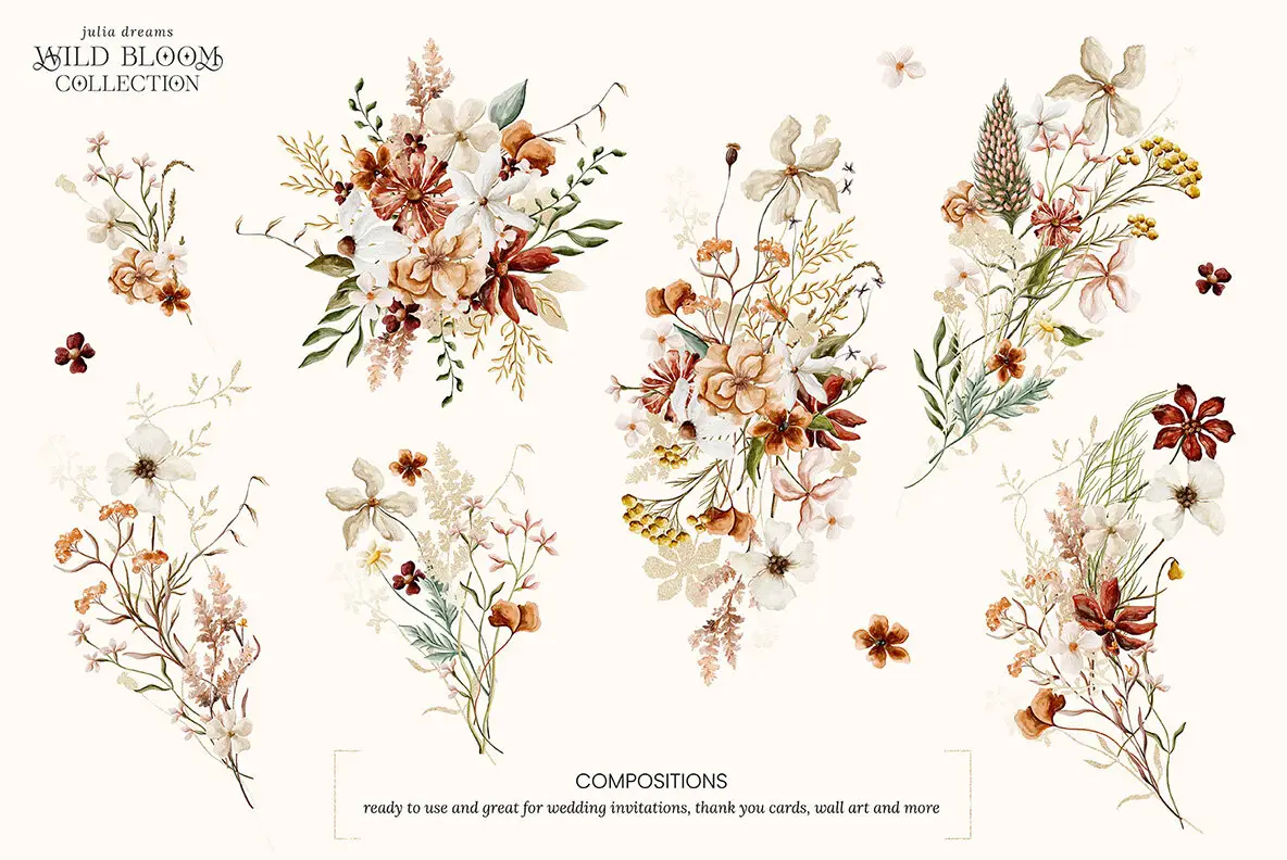 Wild Bloom Collection Illustrations - YouWorkForThem