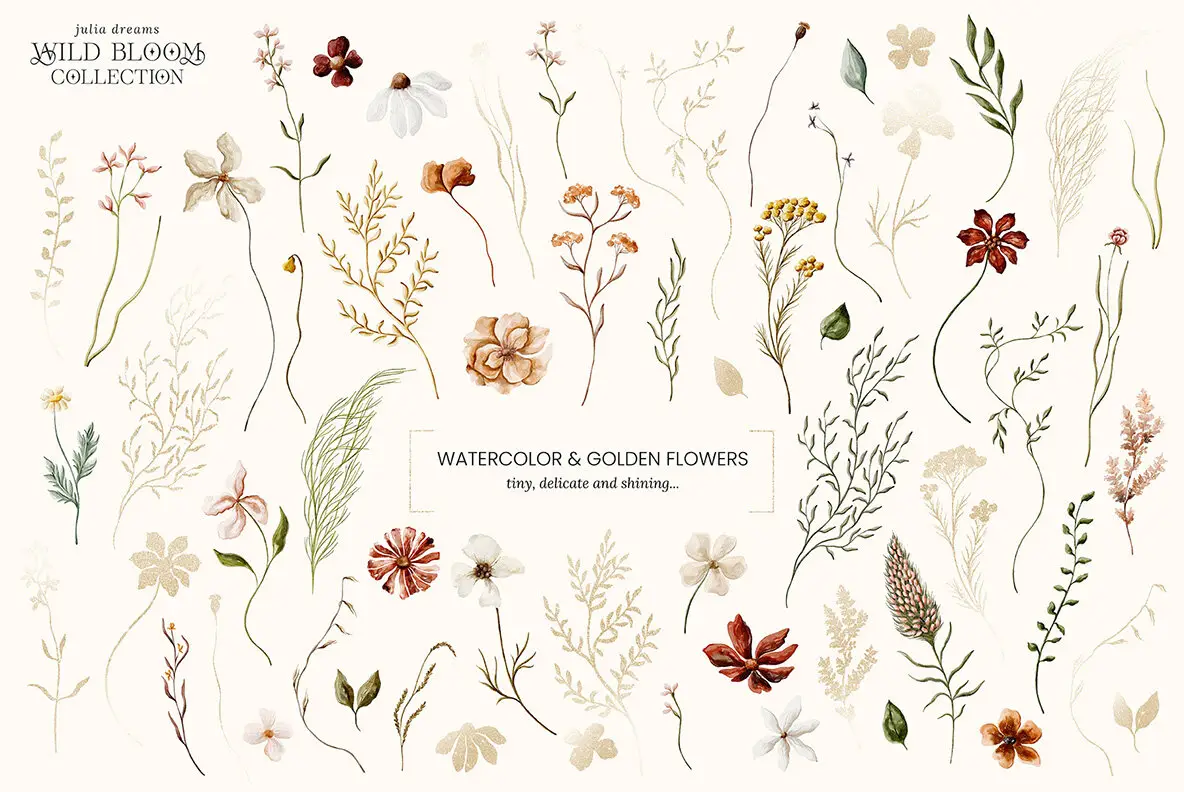 Wild Bloom Collection Illustrations - YouWorkForThem