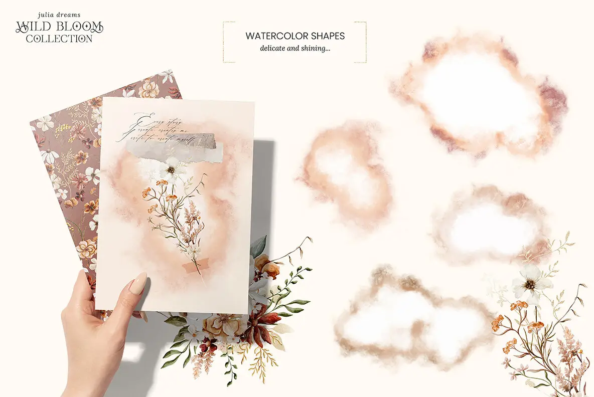 Wild Bloom Collection Illustrations - YouWorkForThem