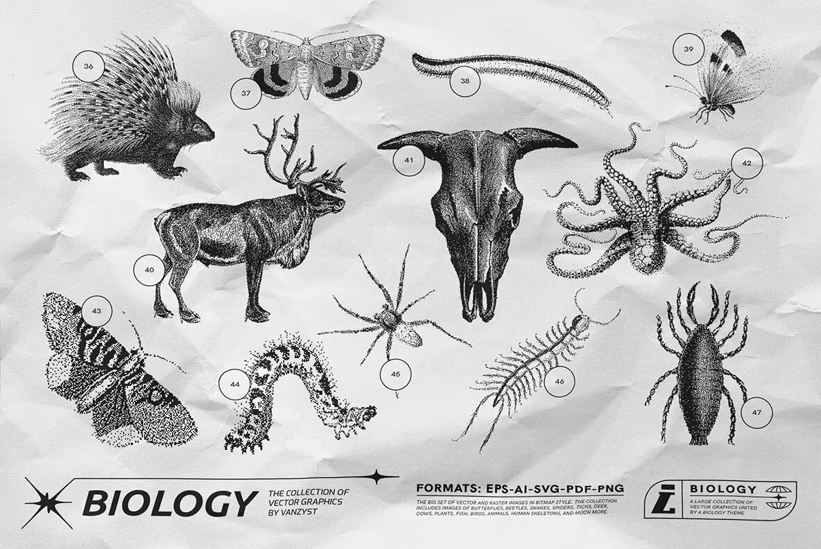 125 Vector Bitmap Assets Biology Graphics - YouWorkForThem