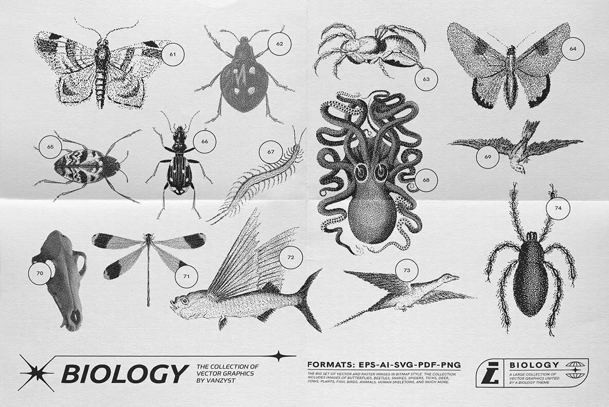125 Vector Bitmap Assets Biology Animals - YouWorkForThem