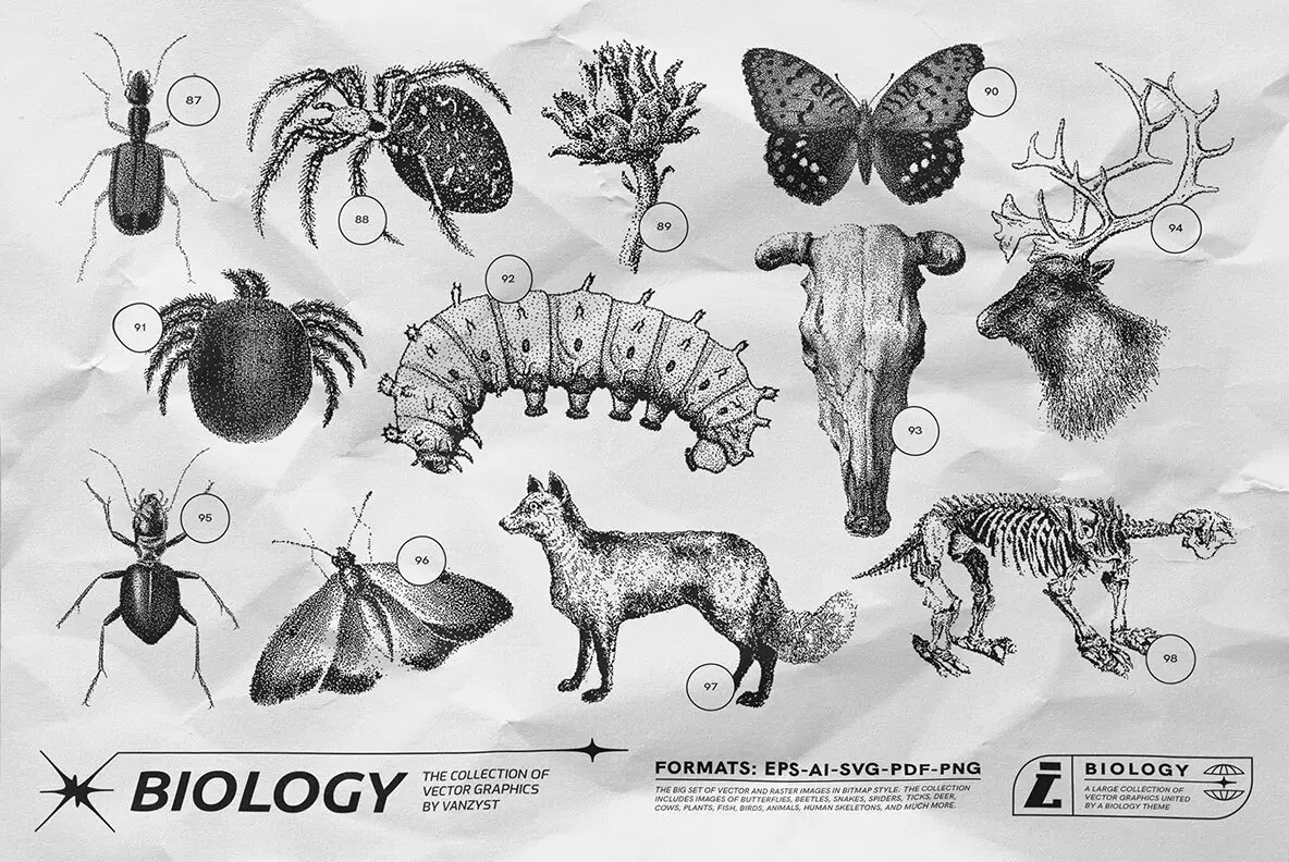 125 Vector Bitmap Assets Biology Animals - YouWorkForThem