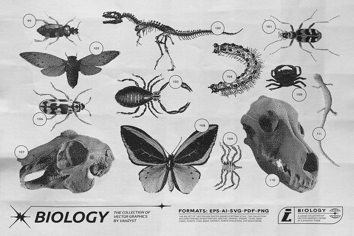 125 Vector Bitmap Assets Biology Animals - YouWorkForThem