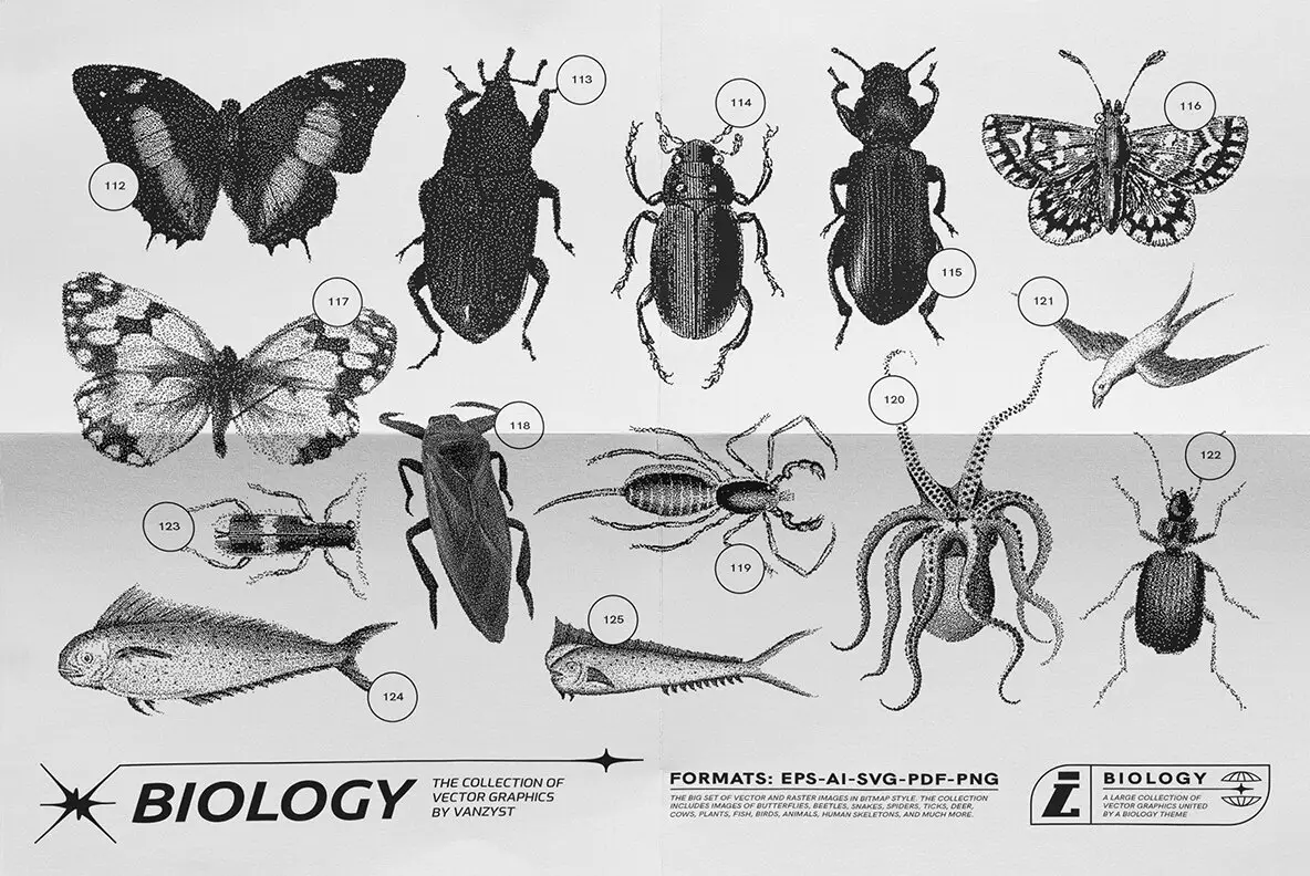 125 Vector Bitmap Assets Biology Animals - YouWorkForThem