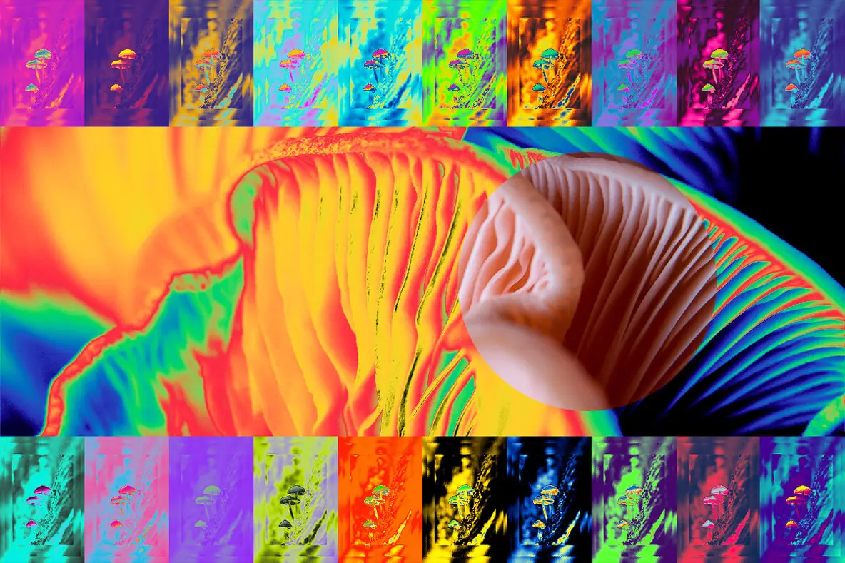 Psychedelic - Gradient Maps Graphics - YouWorkForThem