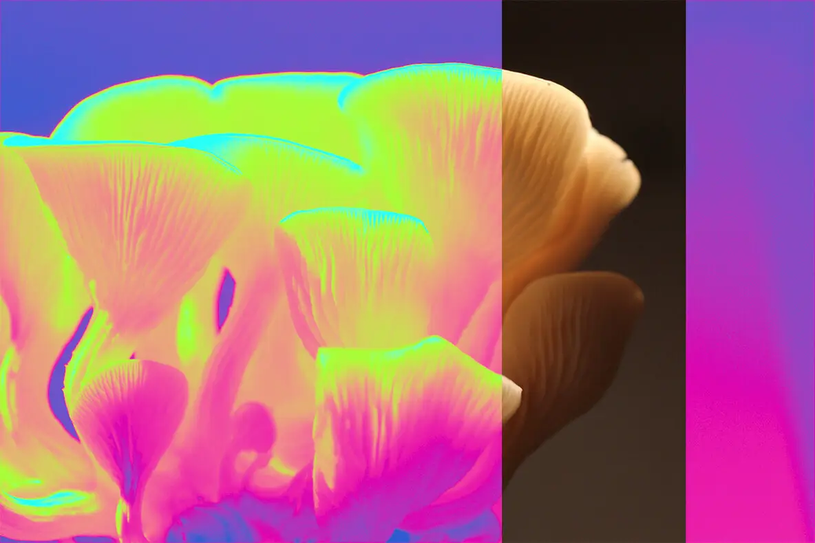 Psychedelic - Gradient Maps Graphics - YouWorkForThem