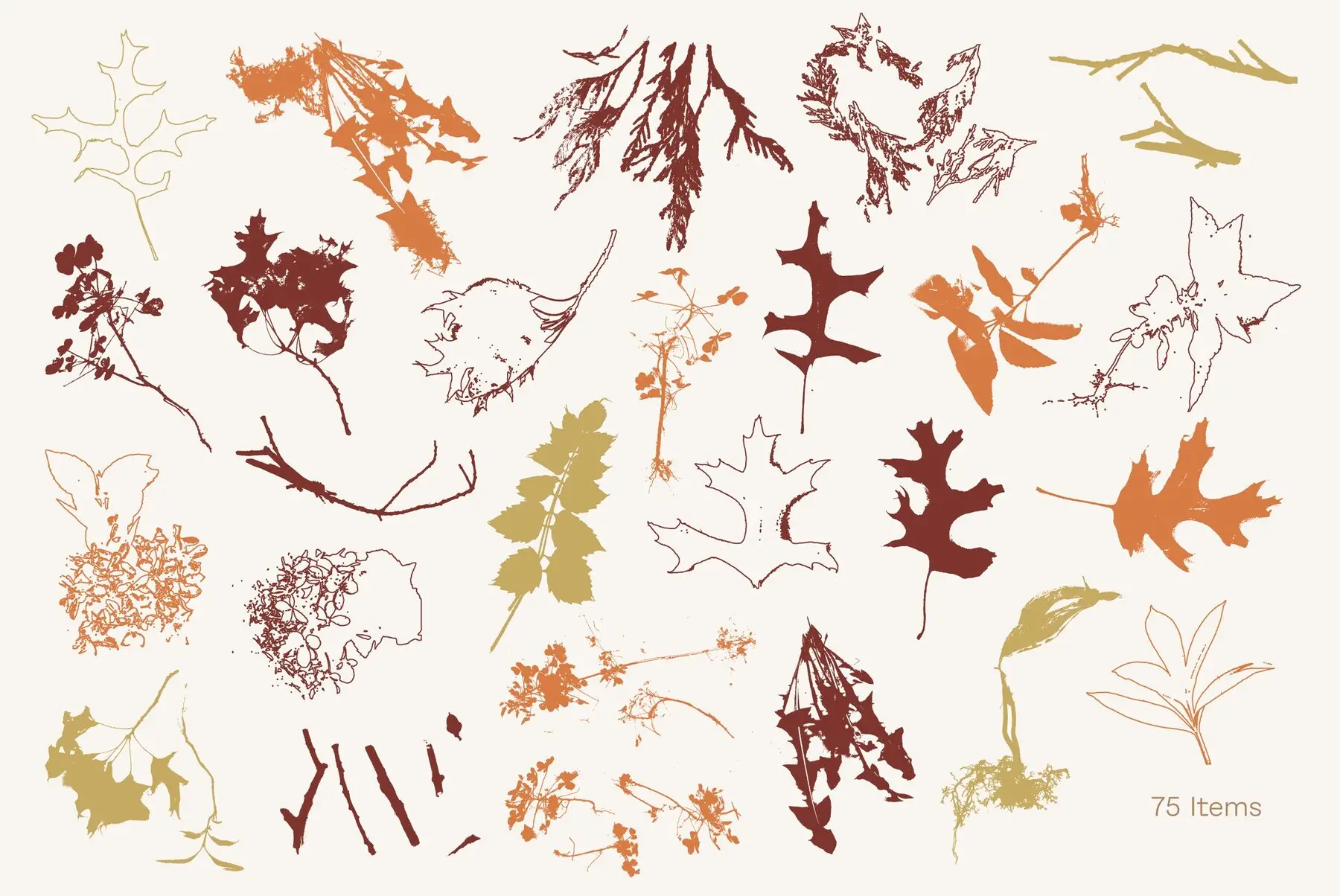 Botanical Essence Graphics - YouWorkForThem