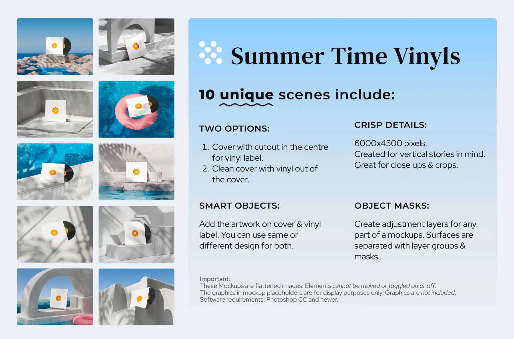 Vinyl Mockup - 10 Summer Time Scenes Graphics - YouWorkForThem