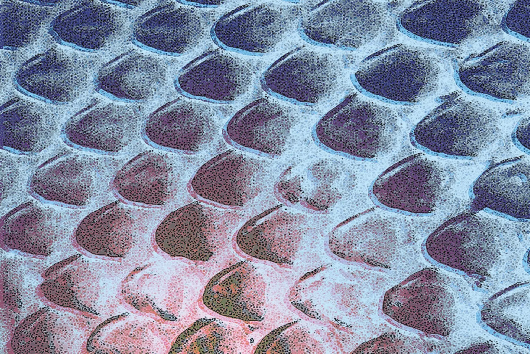 25 Animal Textures Pack Graphics - YouWorkForThem