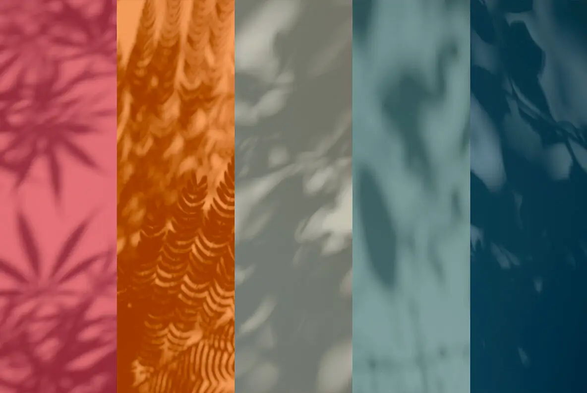 Botanical Shadow Overlays Graphics - YouWorkForThem