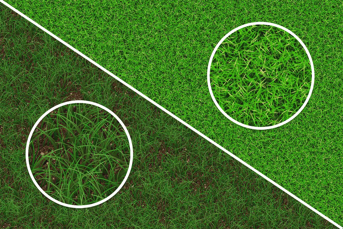 20 Grass Background Textures Graphics - YouWorkForThem