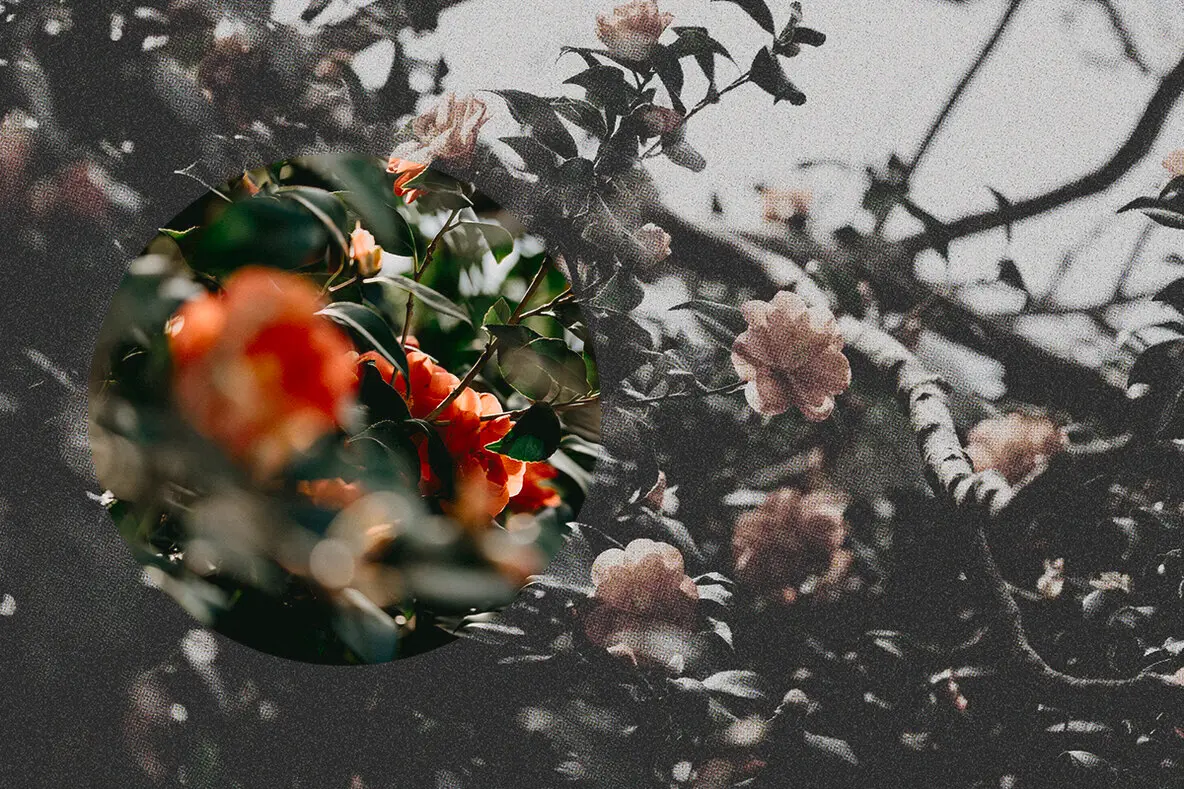 Zine Magazine - Print Magazine Effect Graphics - YouWorkForThem