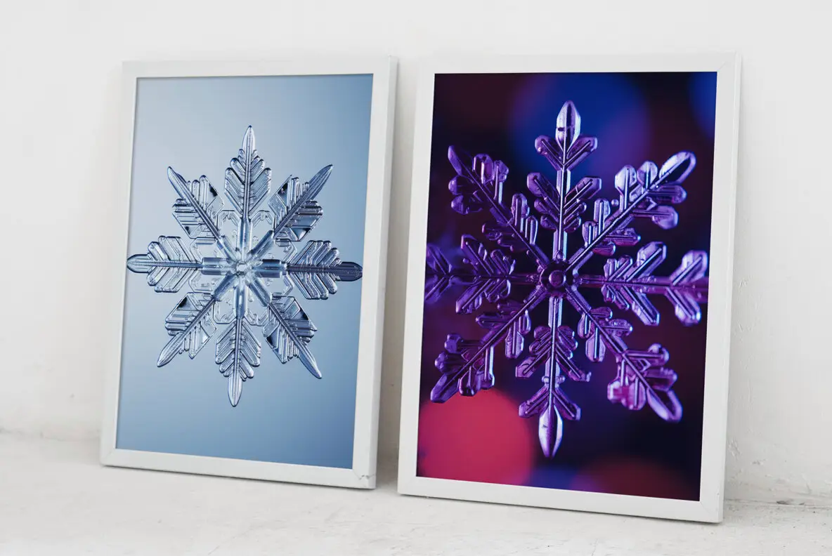 Snowflakes Graphics - YouWorkForThem