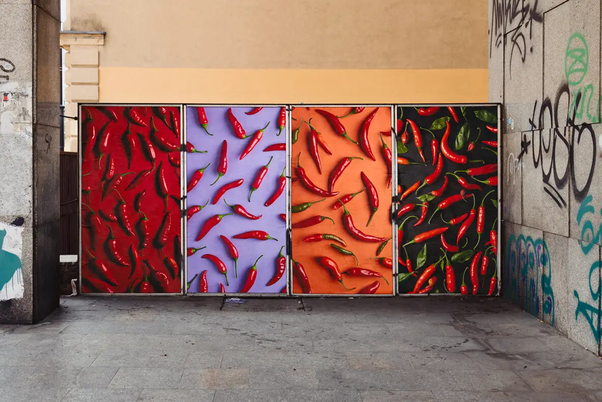 Chili pepper patterns Graphics - YouWorkForThem