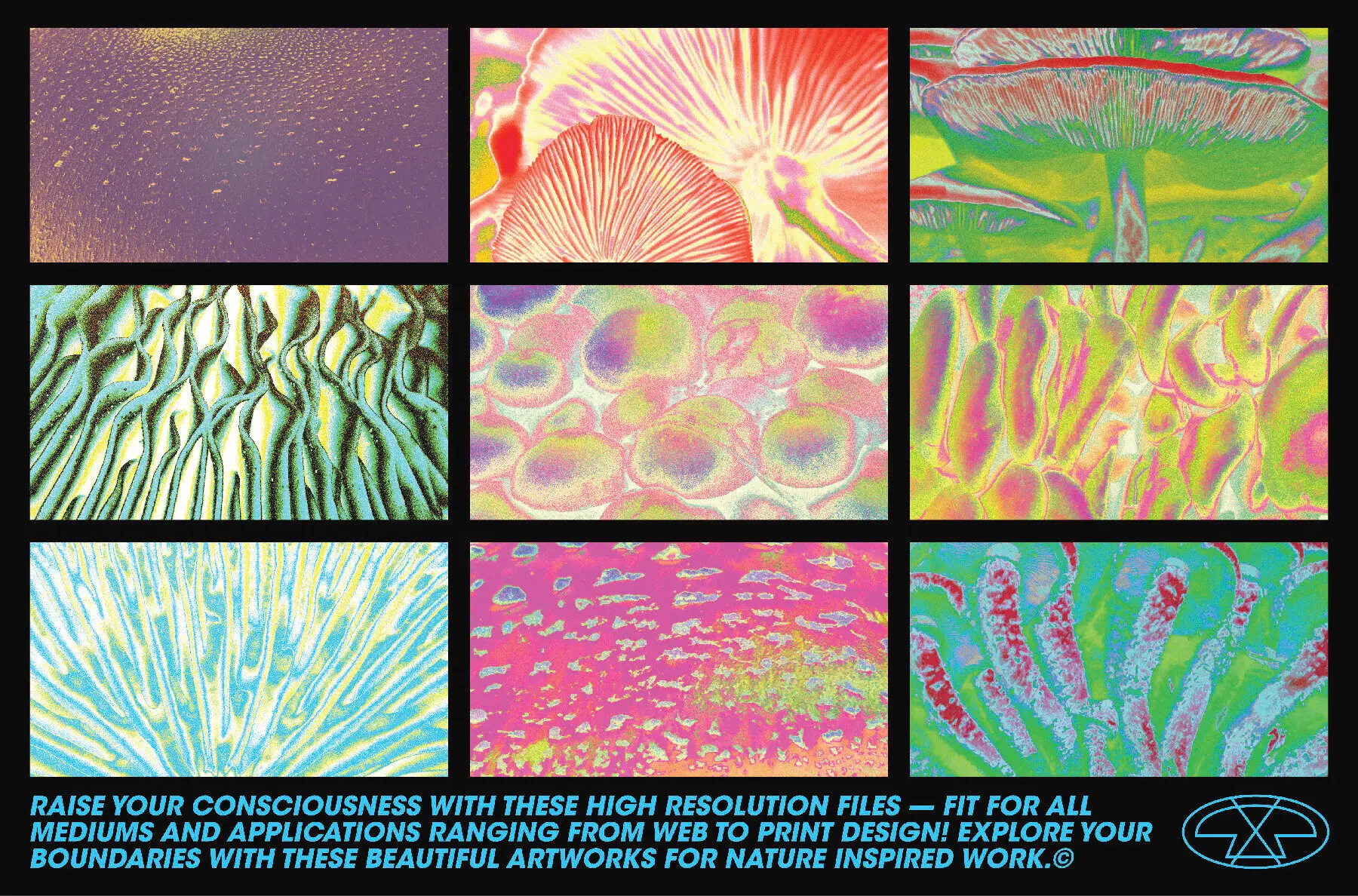 Fungi Textures Pack Graphics - YouWorkForThem